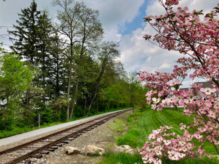 JOIN THE JOY! Become a Friend of York County Rail Trails – York County ... JOIN THE JOY! Become a Friend of York County Rail Trails – York County ...